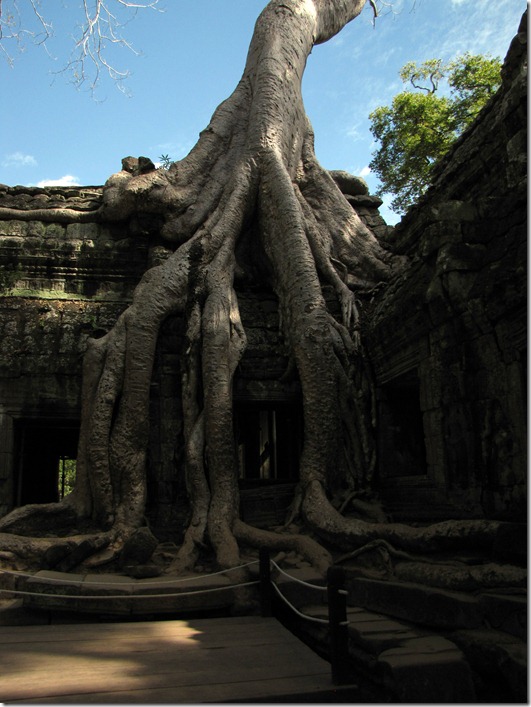 The Knotty Travellers: From Pol Pot to Angkor Wat: It’s a Holiday in ...